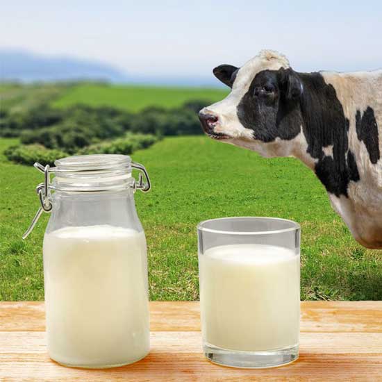 Anmol Dairy - Kartahan | Vaishali